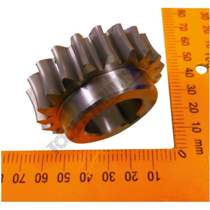 BD217 - #201-14 WORM GEAR 25 B x 20 T | t4i.com.au